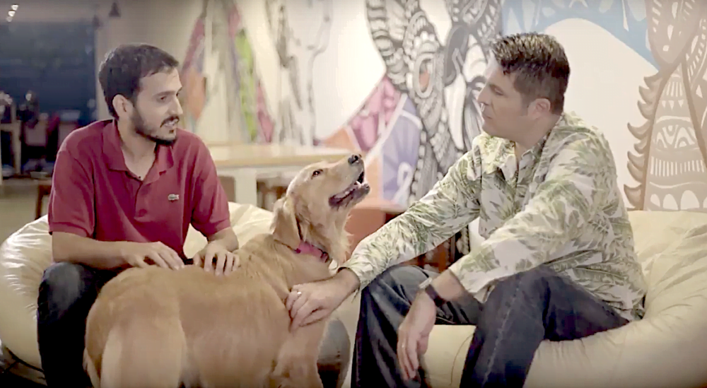 DogHero: os bastidores de uma empresa com DNA animal